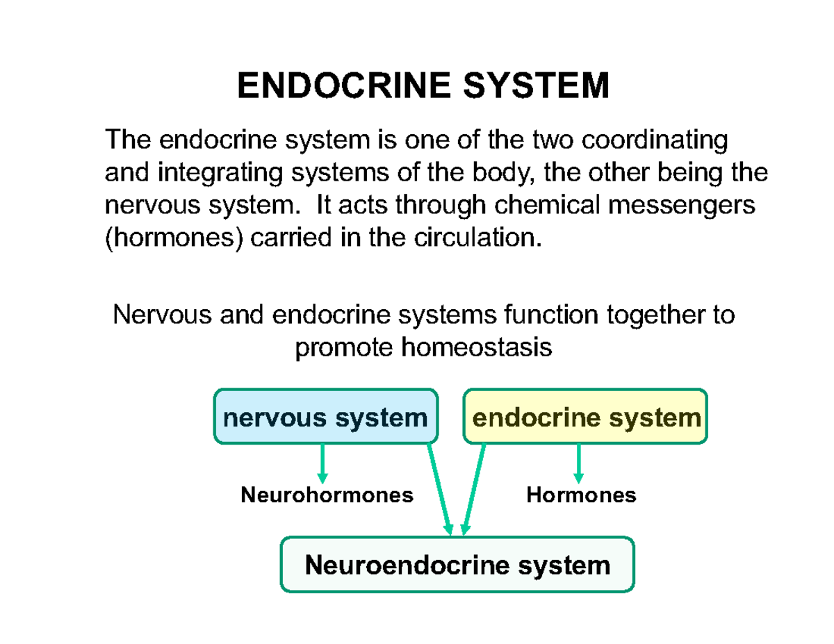 Endocrine System: Hormone Classification and Mechanisms of Action ...