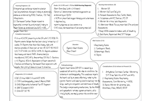 Galen College Standard Values for Nursing - Prepared by: Department of ...