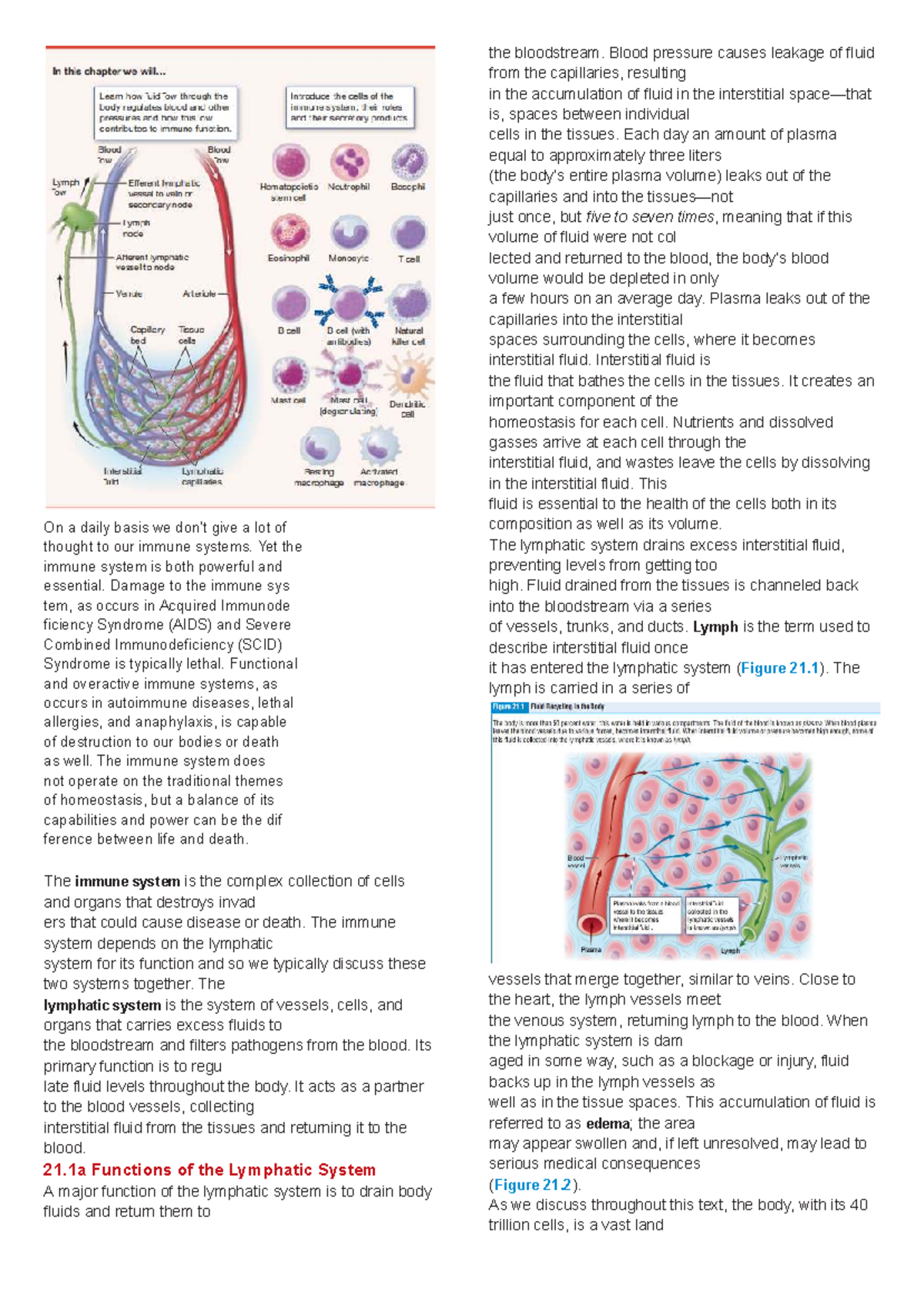 Lymphatic and Immune System Overview: Functions and Interactions - Studocu