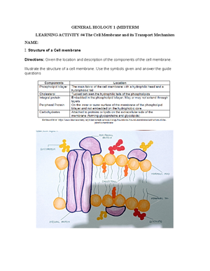 BIOLOGY 101 Final Exam Reviewer: Cell Division & Transport Mechanisms ...