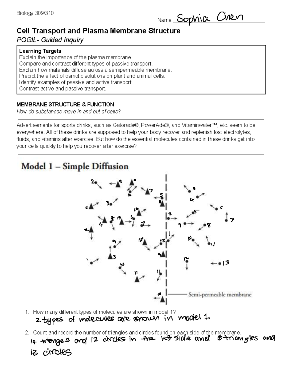 Biology 101: Cell Transport & Plasma Membrane Structure Study Guide ...