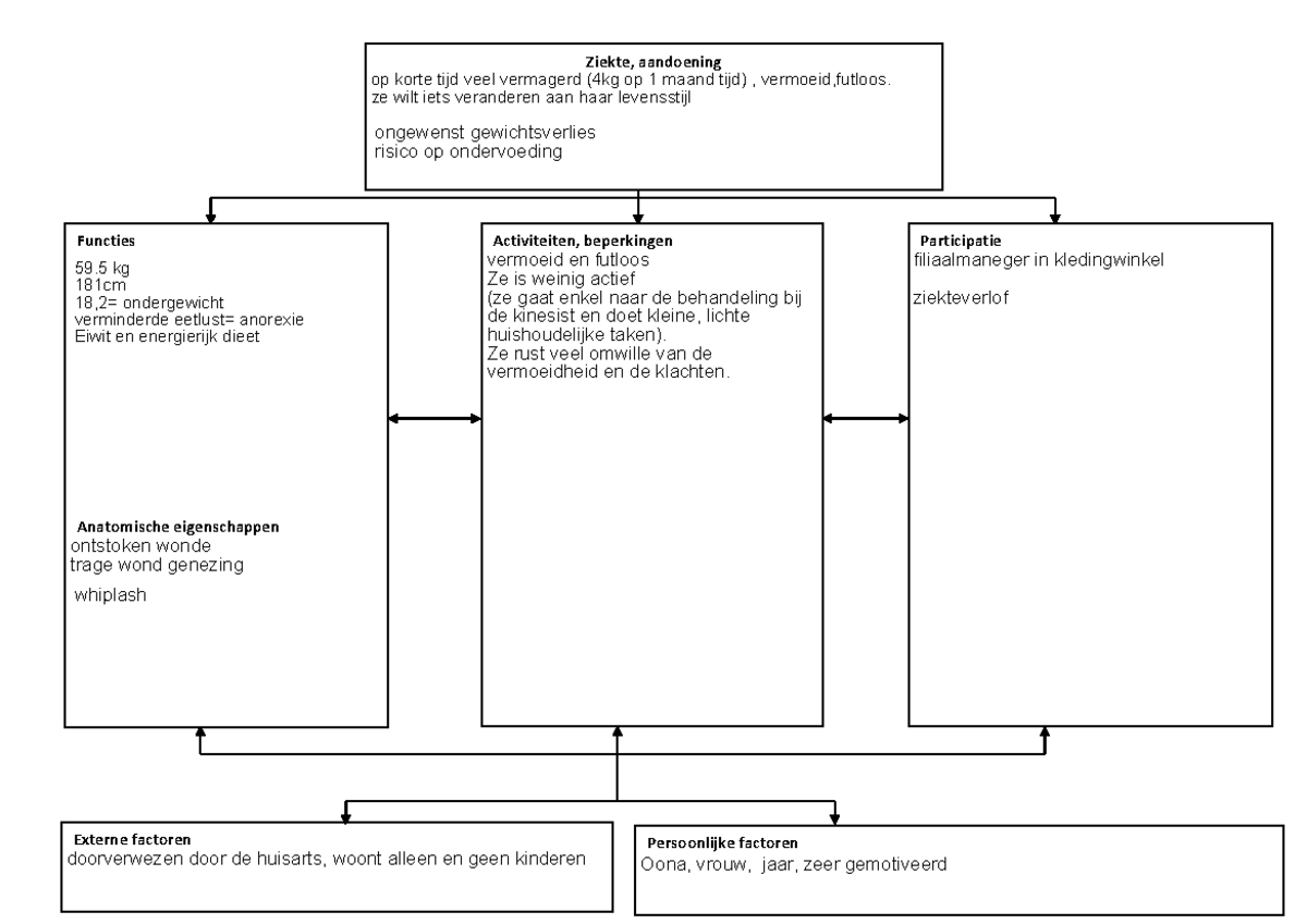 Icf - Voorbeeld ICF document ingevuld - Externe factoren Persoonlijke ...