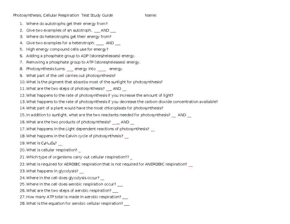 Photosynthesis and Cellular Respiration Studyd guide - Photosynthesis ...