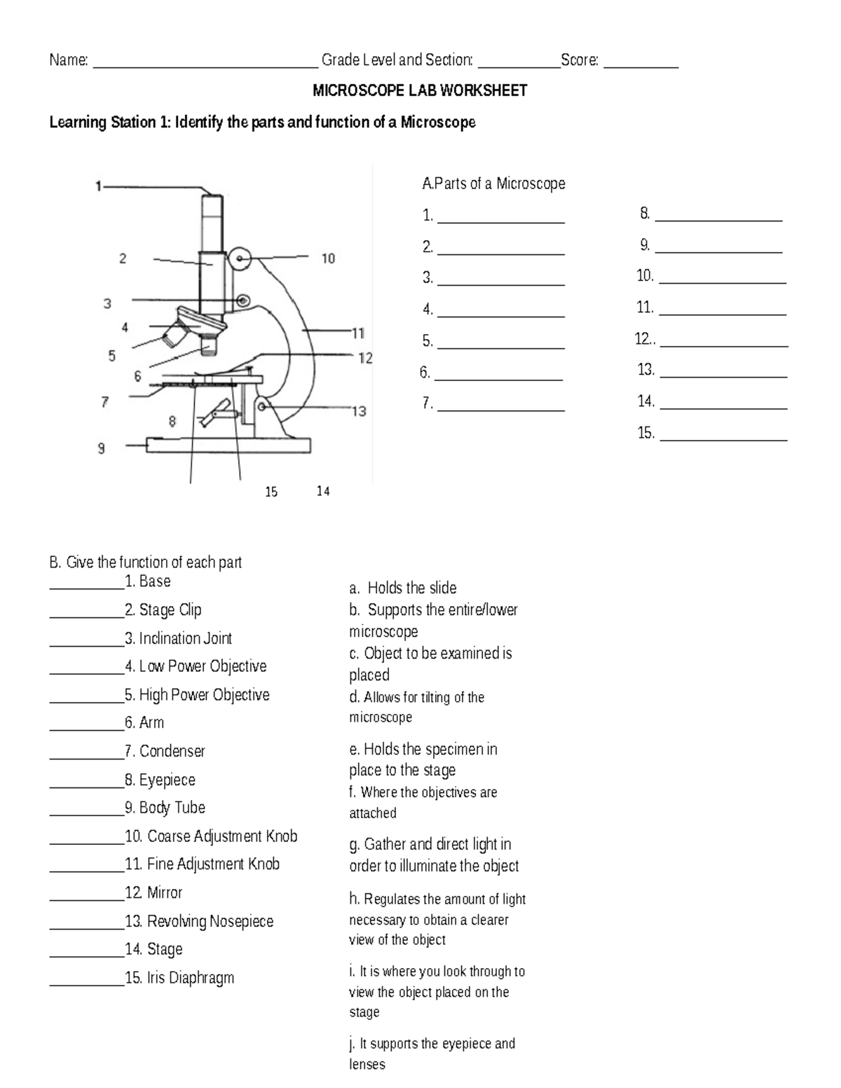 Activity sheet microscope - Name: ______________________________ Grade ...