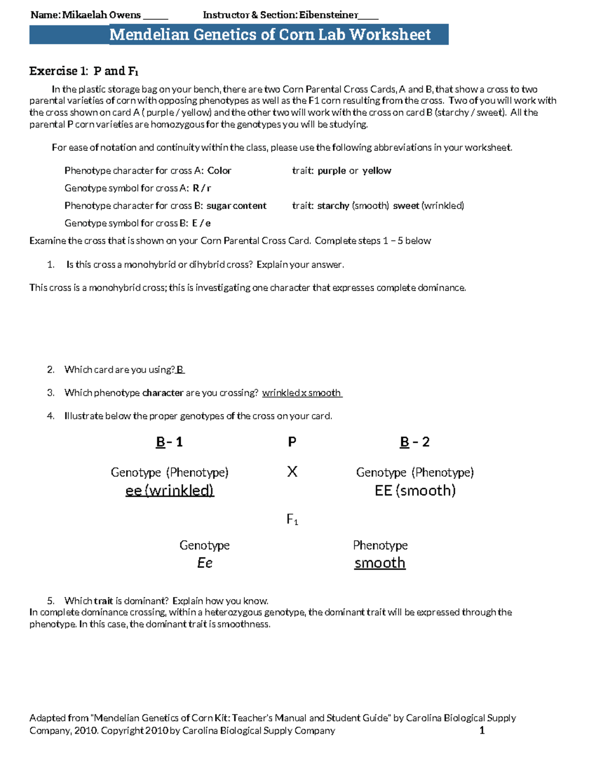Mendelian Genetics Lab Worksheet S24: Monohybrid & Dihybrid Crosses ...
