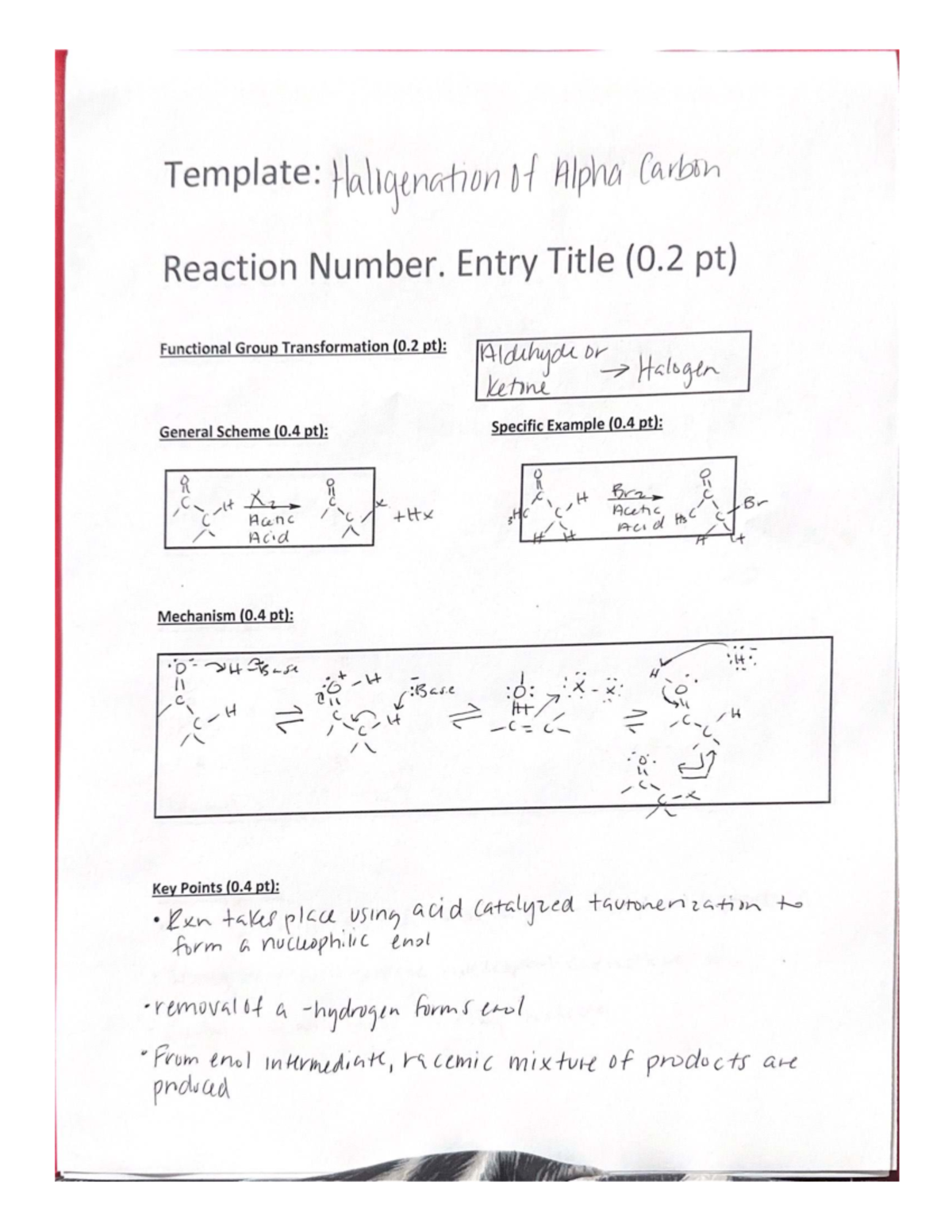 Halogenation of Alpha Carbon: Reaction Mechanisms and Key Points - Studocu