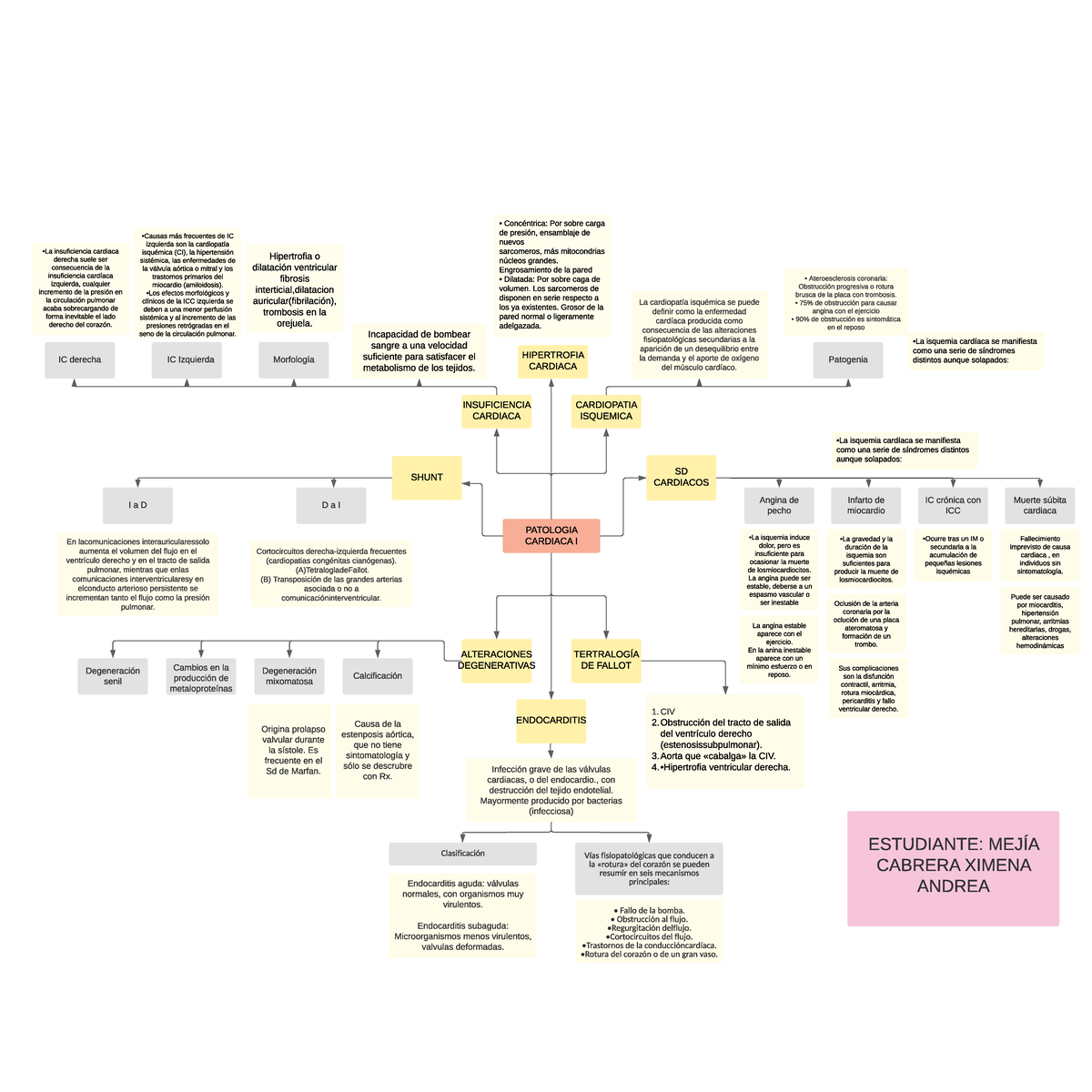 Mapa conceptual - patología cardiovascular - PATOLOGIA CARDIACA I SD ...
