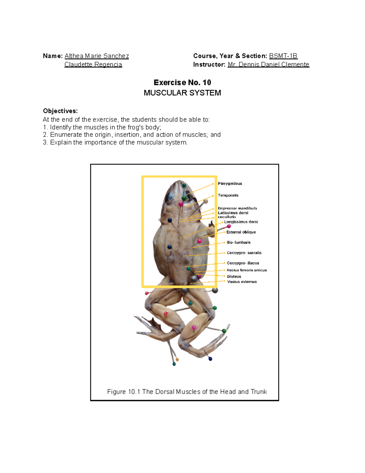 M4-ACT - Assignment - Name: Althea Marie Sanchez Claudette Regencia Course, Year & Section ...