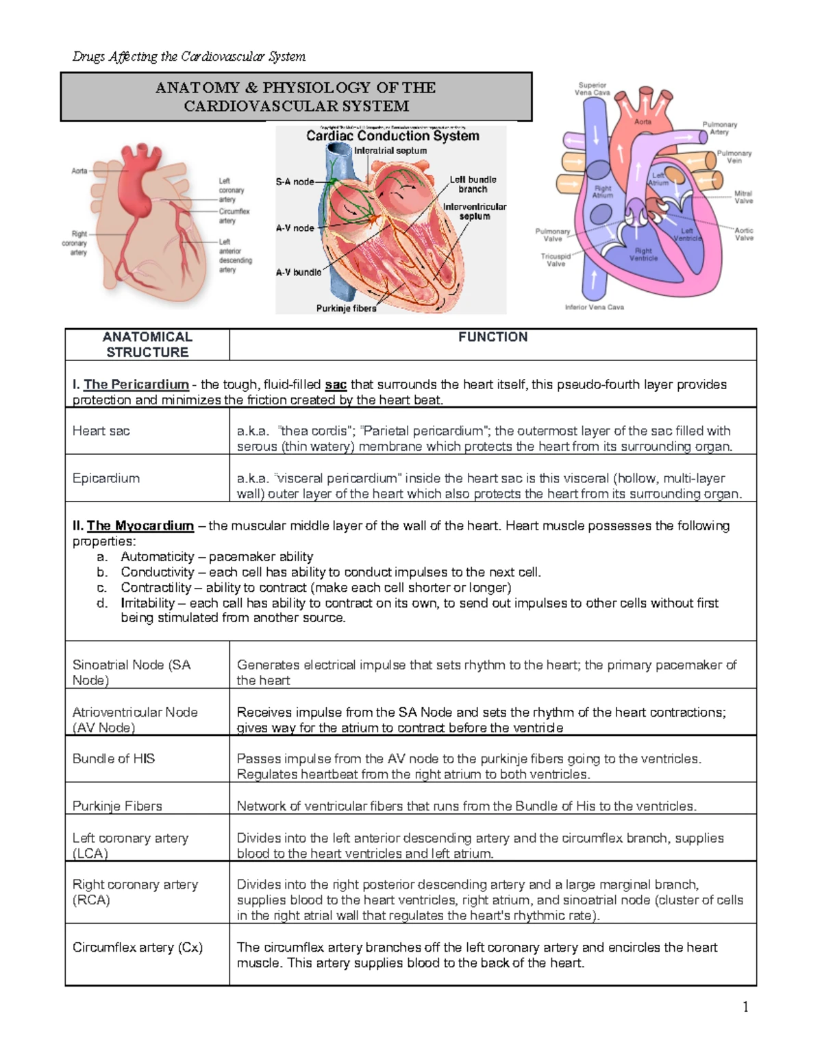 Hepa B Vaccine Study for 6-Day-Old Infant: Overview & Insights - Studocu