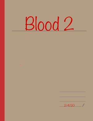 Sara Lin Assessment Documentation - vSim Health Assessment Case 3: Sara ...