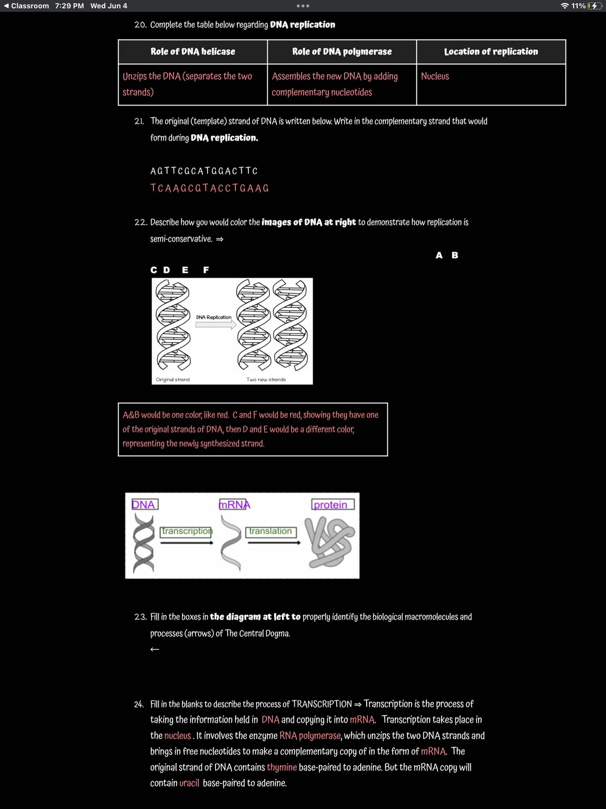 Final Exam Review for ABC123: DNA Replication and Transcription ...
