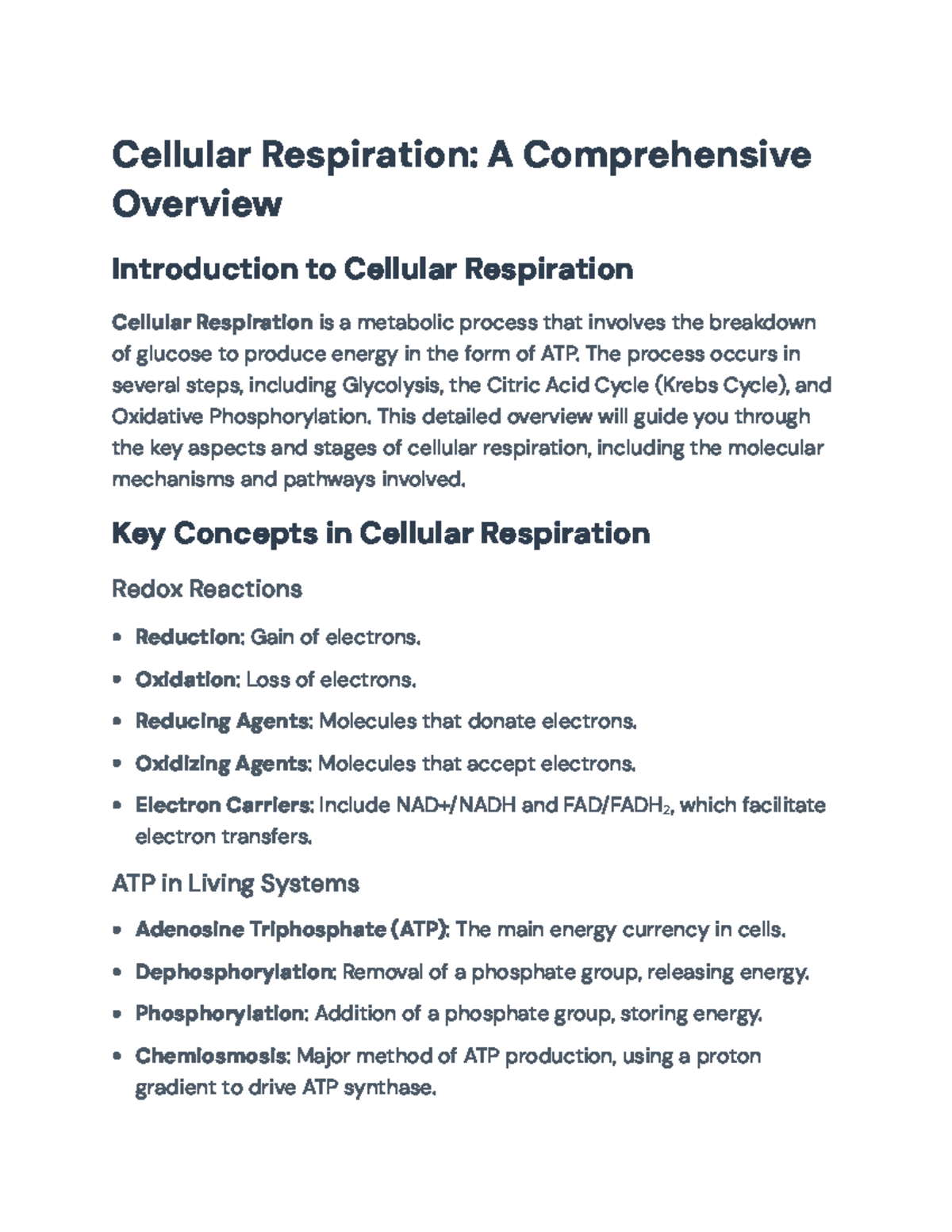 Cellular Respiration Overview: Key Stages and Mechanisms Explained ...