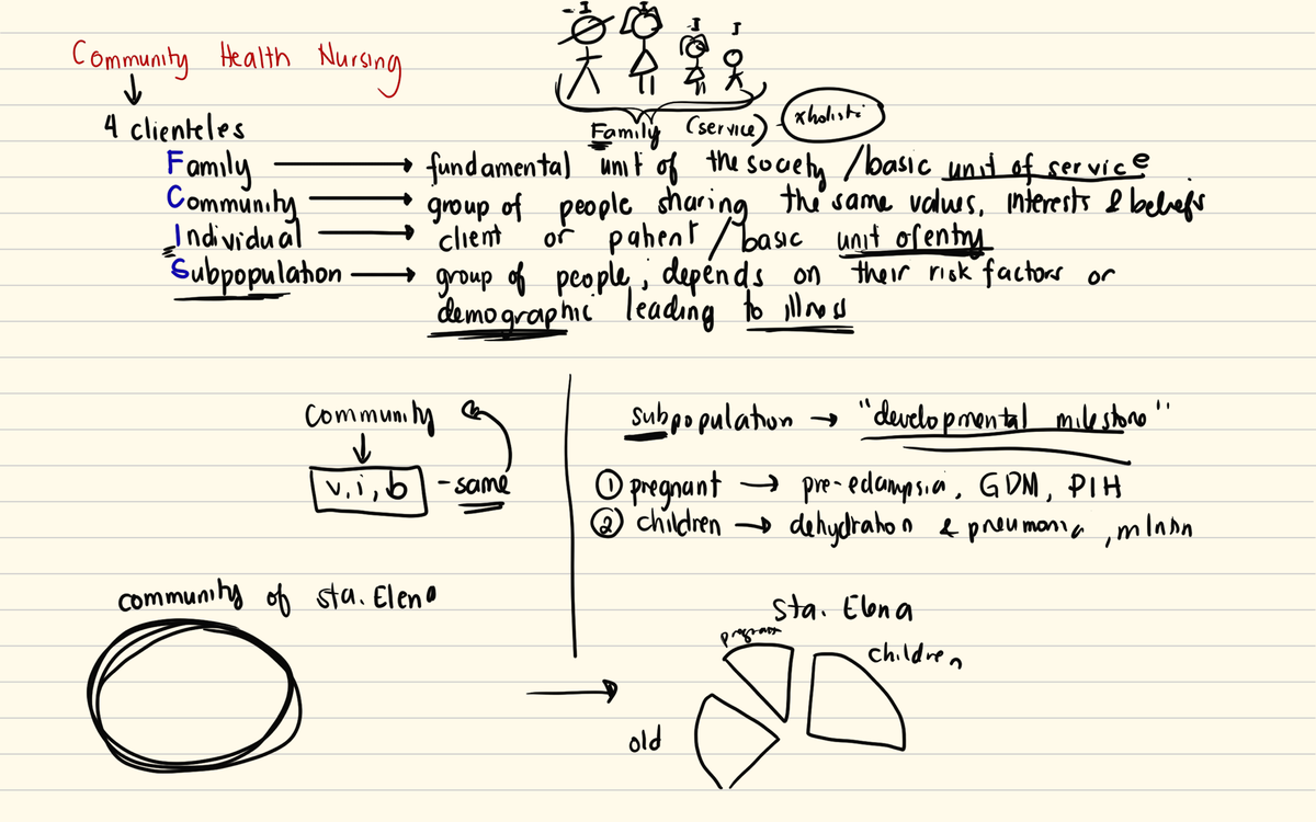 Community Health Nursing 11: Clientele and Family Care Insights - Studocu