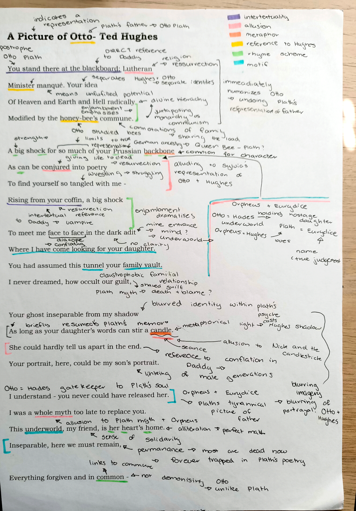 Annotated Analysis of "Picture of Otto" by Ted Hughes - Studocu