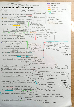 plath and hughes essay - To what extent do the resonances and ...