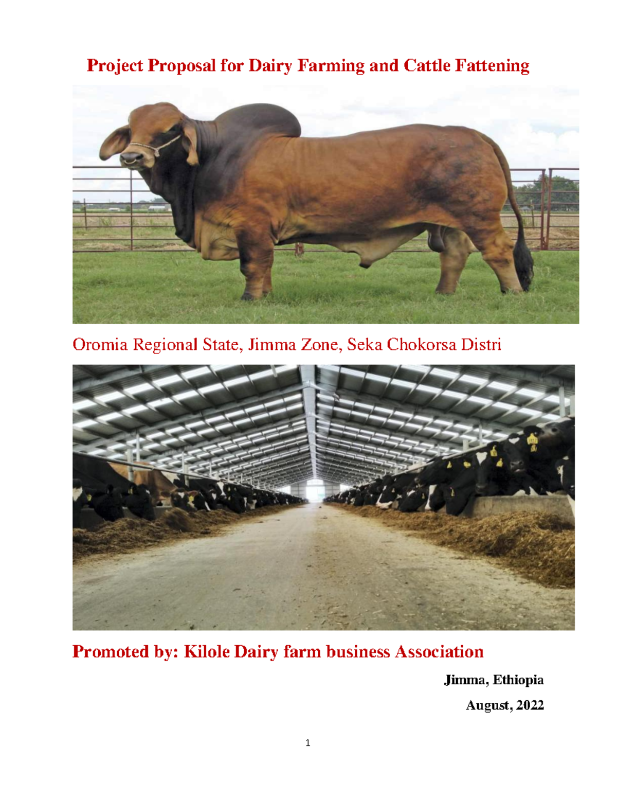Project Proposal: Kilole Dairy Farming & Cattle Fattening in Oromia ...