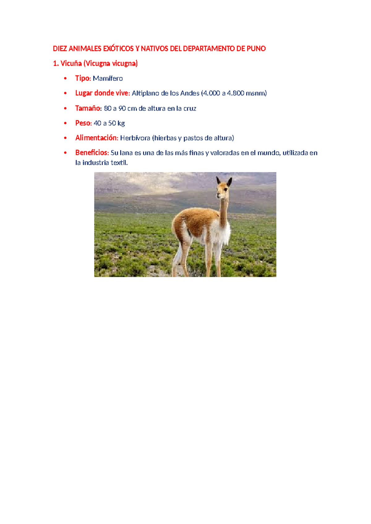 Diez Animales Exóticos y Nativos del Departamento de Puno - Studocu