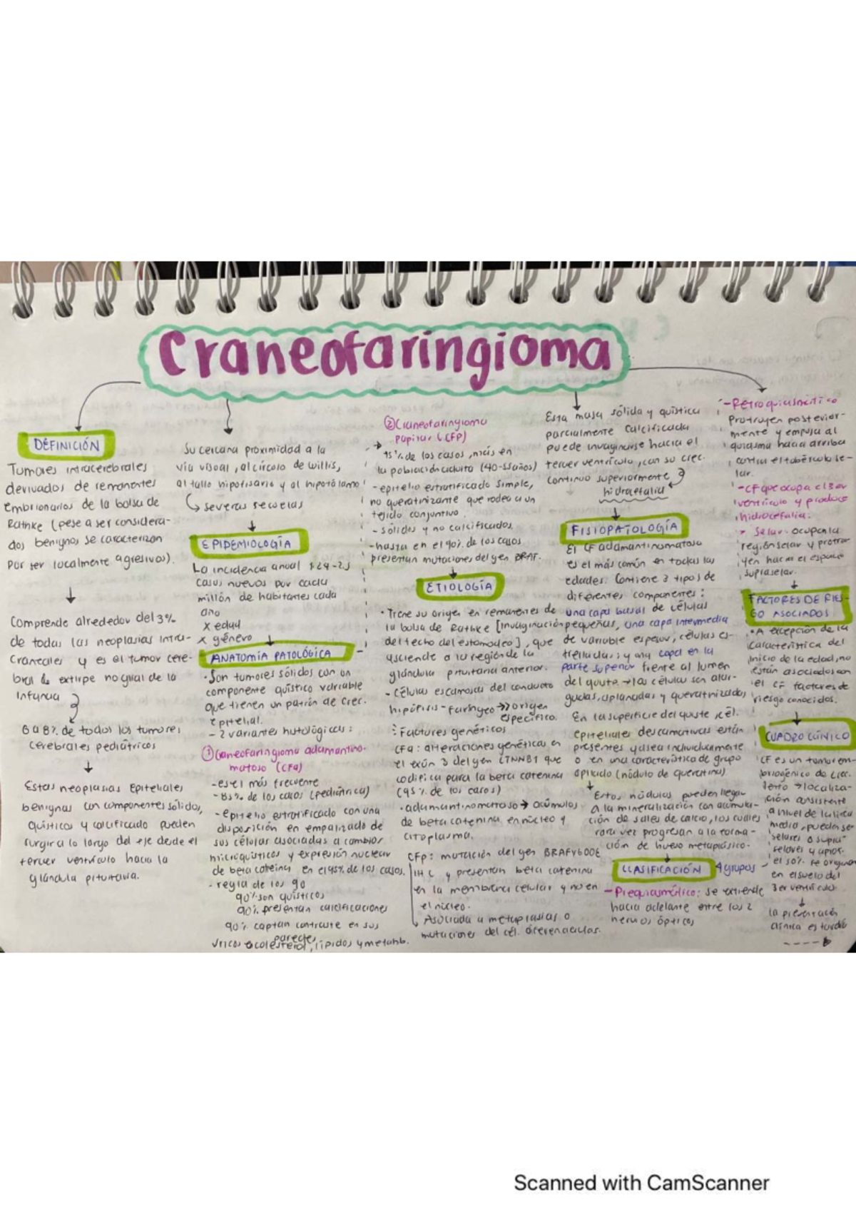 6. Craneofaringioma y Adenoma Cromofobo: Estudio y Clasificación - Studocu