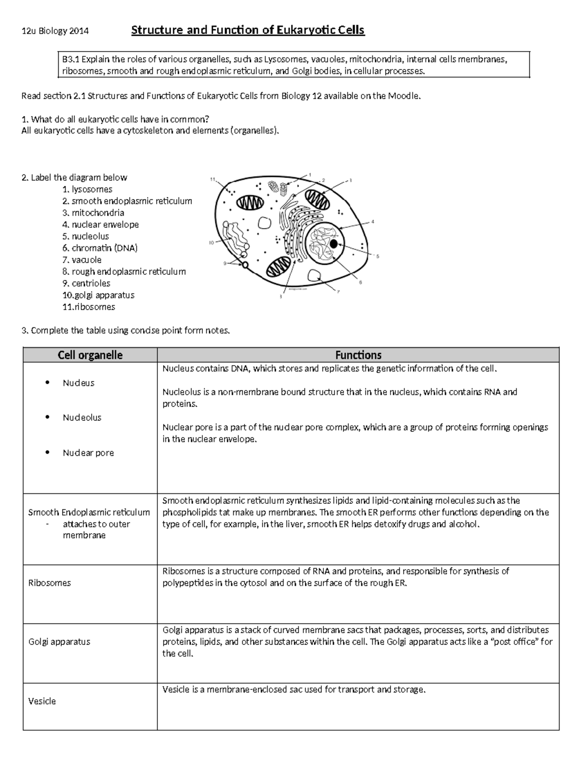 Cell organelles worksheet 2020 - 12u Biology 2014 Structure and ...