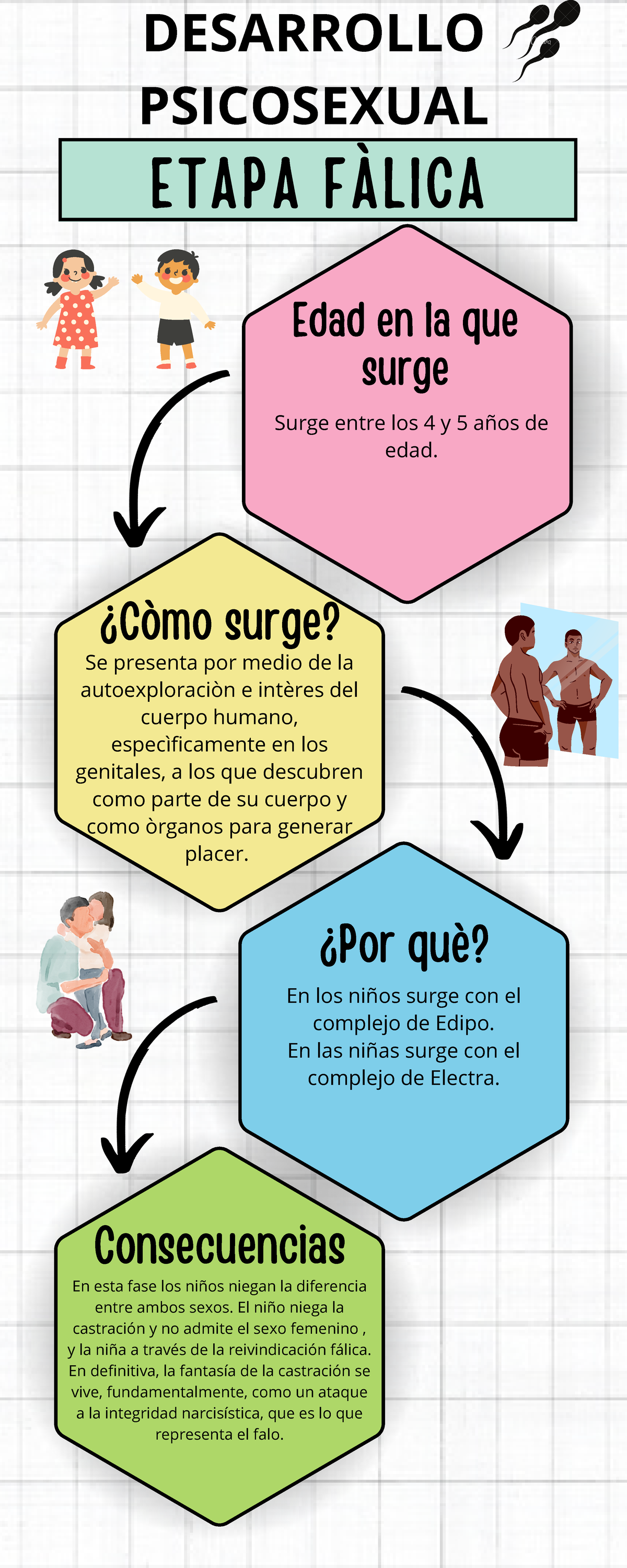 Infografìa Etapa Fàlica - DESARROLLO PSICOSEXUAL ETAPA FÀLICA Edad en ...