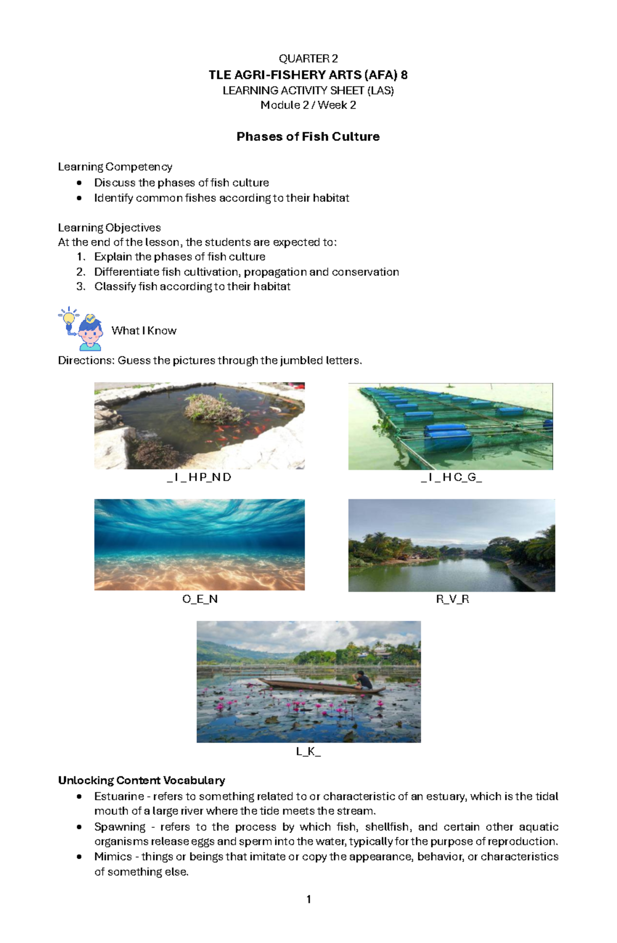 Open High Q2 TLE ARTS (AFA) 8 LAS 2: Phases of Fish Culture - Studocu
