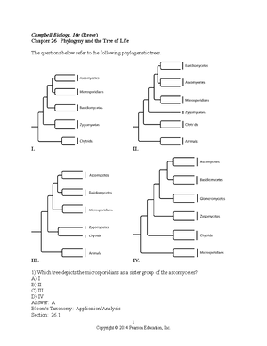 The Role of Carbon in Biological Molecules: A Detailed Overview - The ...