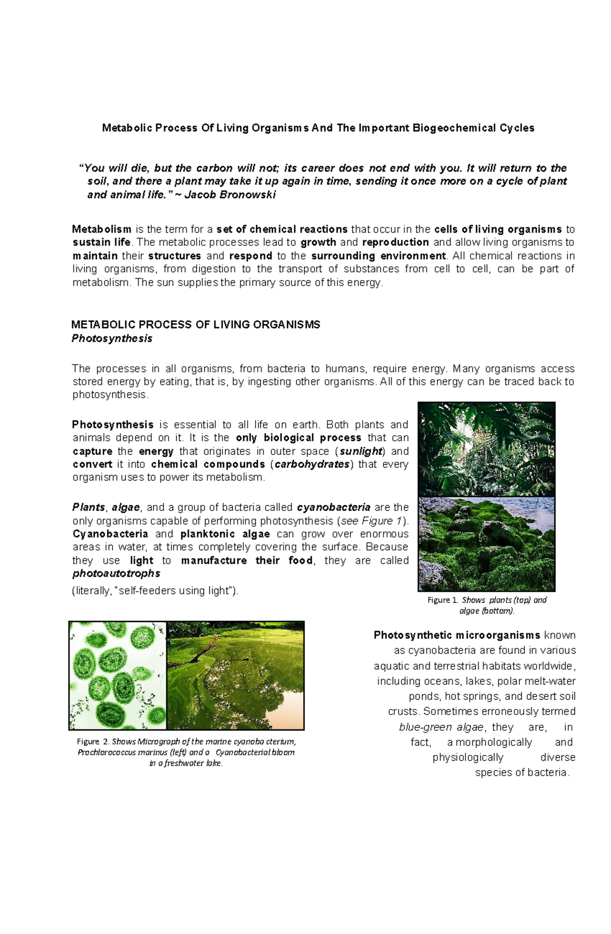 Metabolic Process Of Living Organisms And The Important Biogeochemical ...