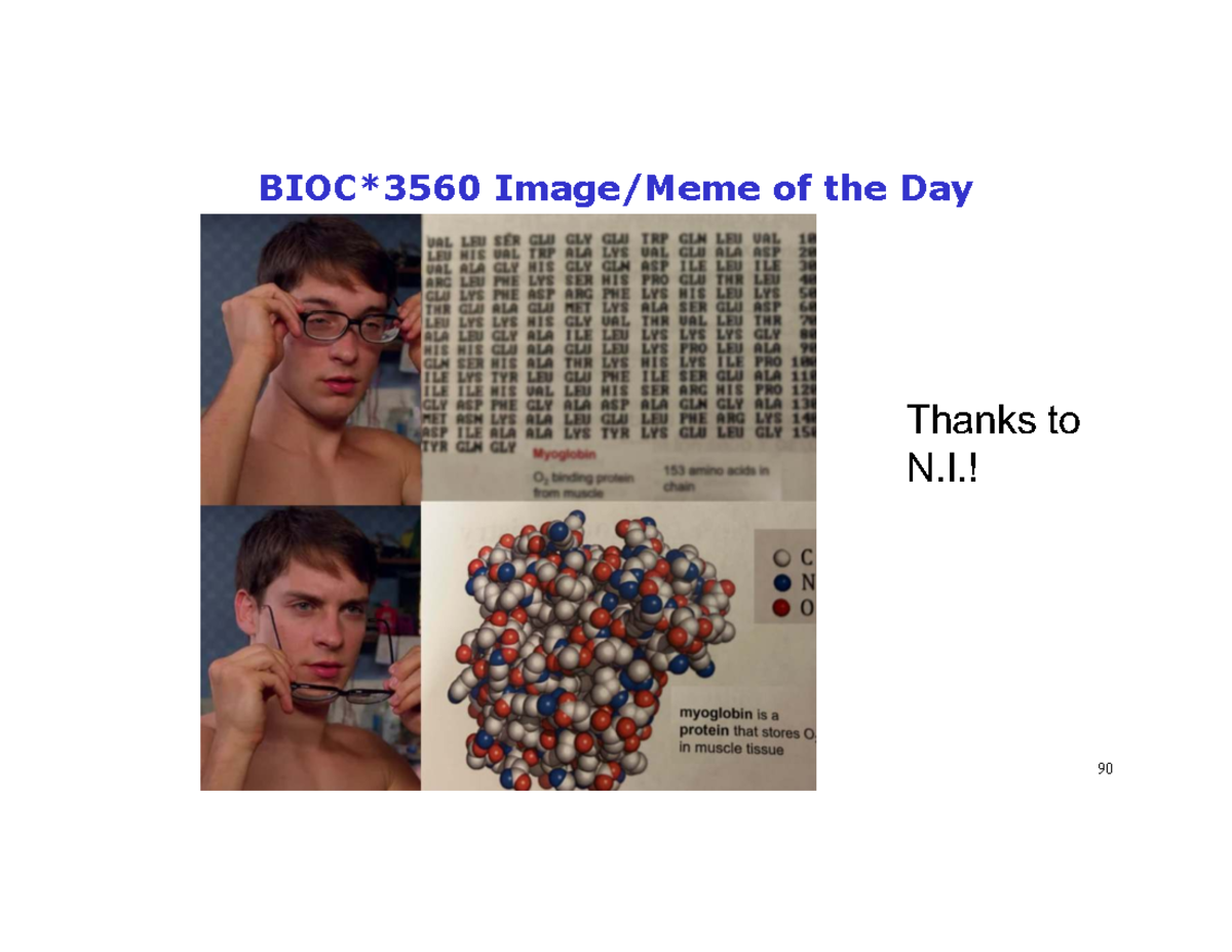 BIOC3560 W26 Lecture 4: Hemoglobin Function & Regulation Insights - Studocu