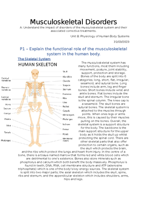 UNIT 8 THE Musculoskeletal System - THE MUSCULOSKELETAL SYSTEM In ...