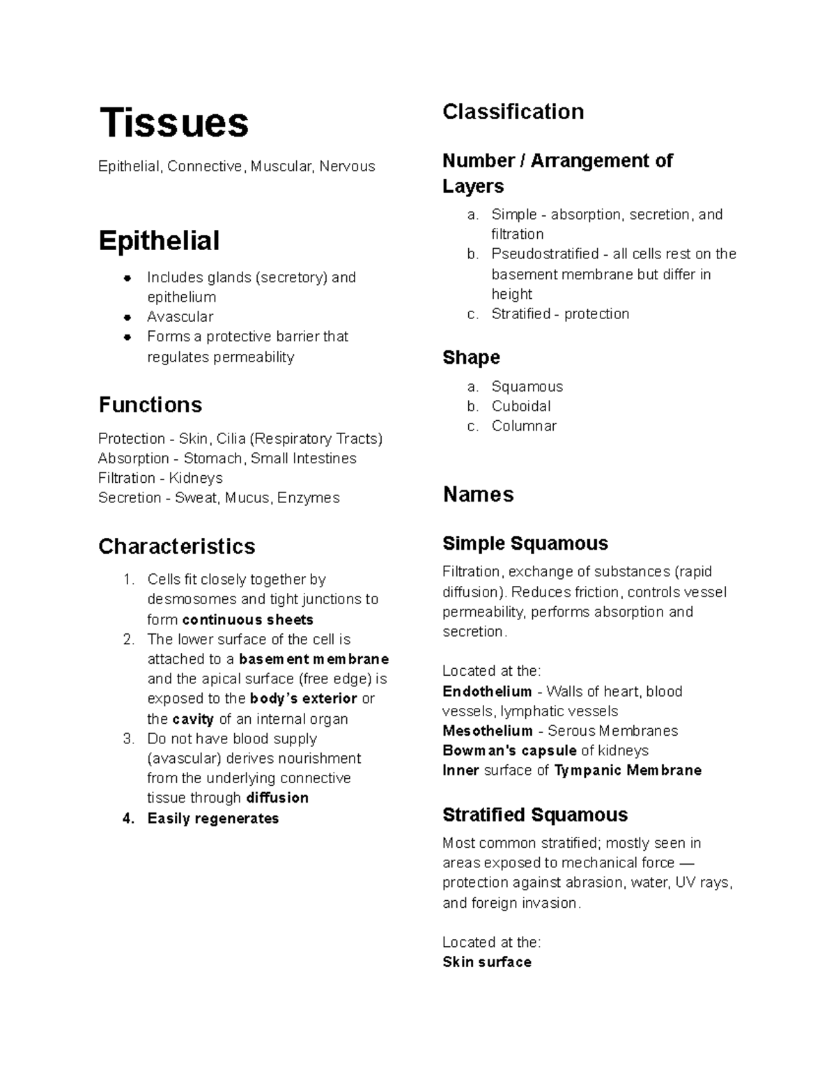 Tissues Classification: Epithelial, Connective, Muscular, Nervous ...
