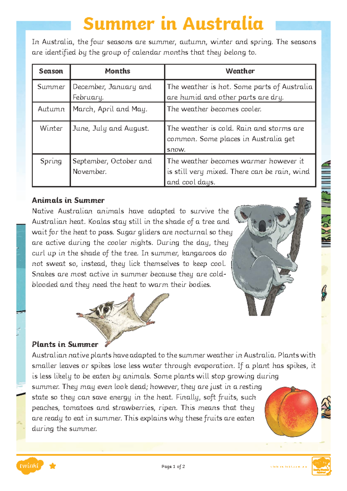 Summer in Australia: Differentiated Reading Comprehension Activity ...