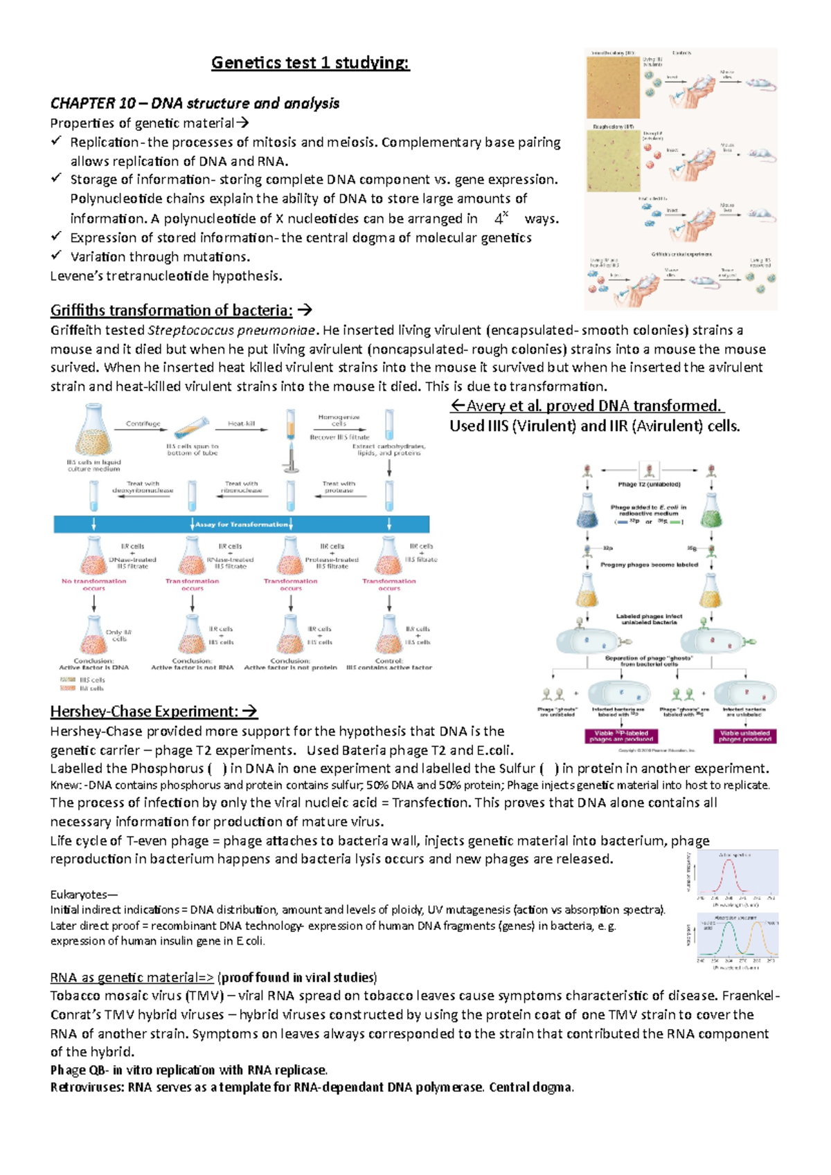 Genetics test 1 sudying new - Genetics test 1 studying: CHAPTER 10 ...