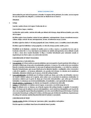 [Solved] Apfisis Unciforme funcion y relacion - Anatomia y disecciones ...