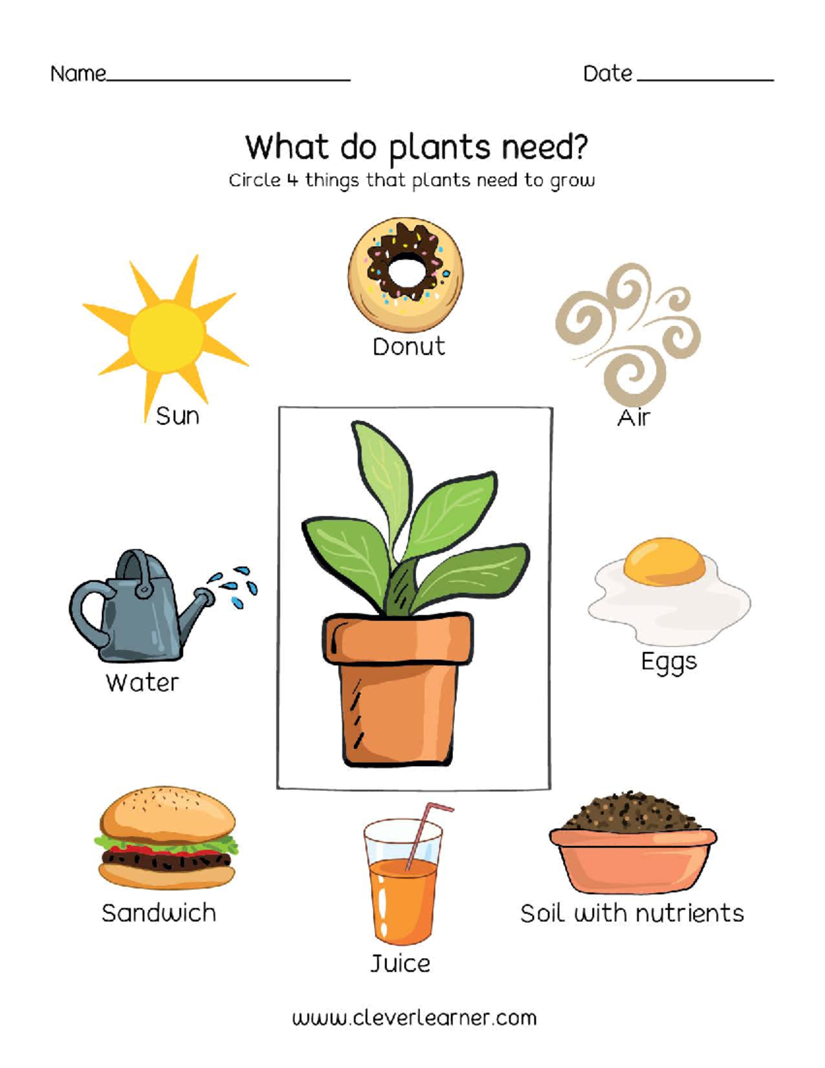 What do plants need 3 - Bachelor of Elementary Education - Studocu