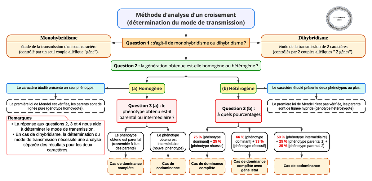 Analyse d'un Croisement en Génétique: Monohybridisme vs Dihybridisme ...