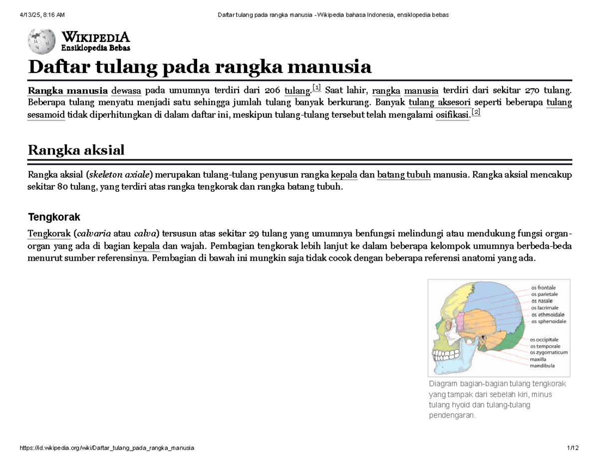 Daftar Tulang pada Rangka Manusia: Panduan Lengkap dan Terperinci - Studocu