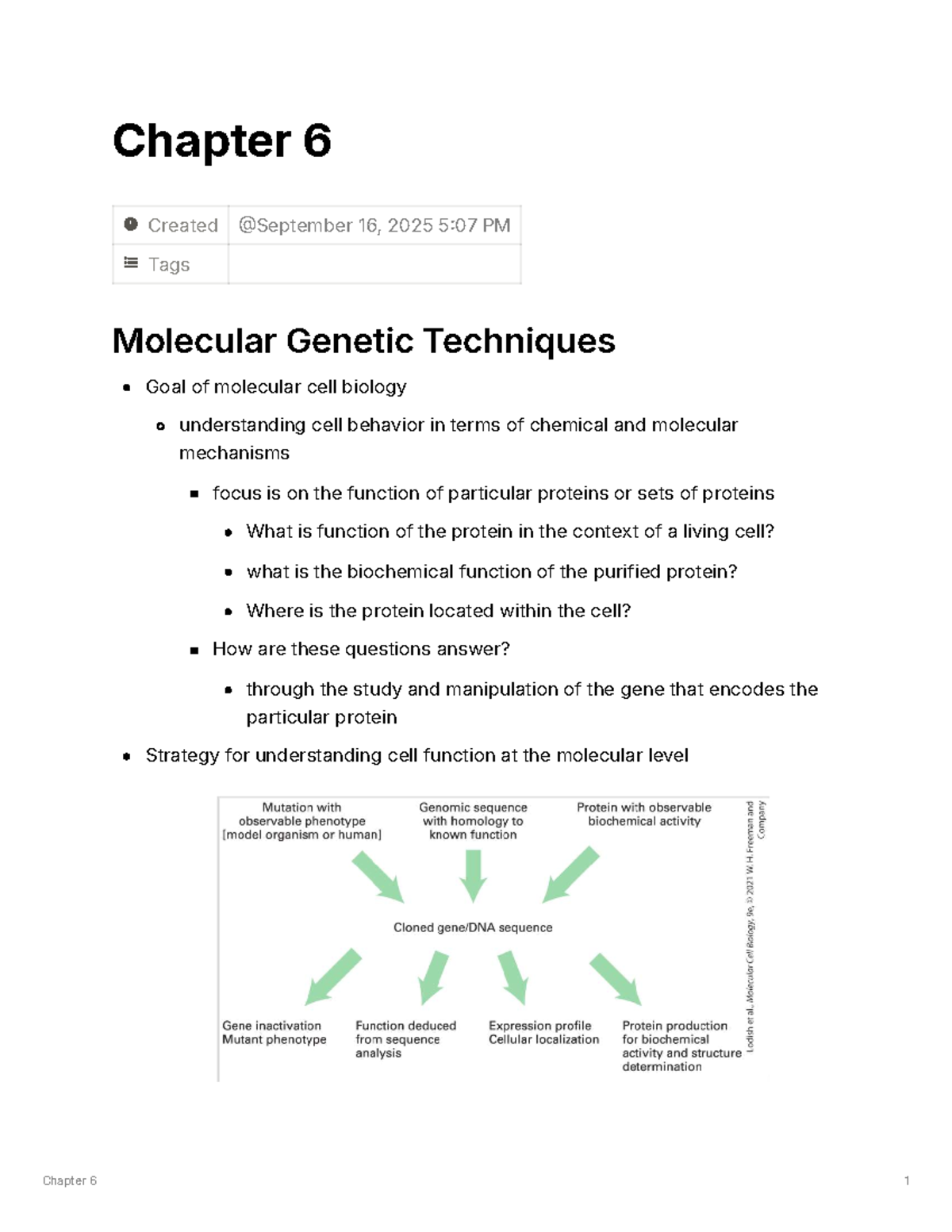 Molecular Genetic Techniques (Chapter 6): Understanding Cell Behavior ...