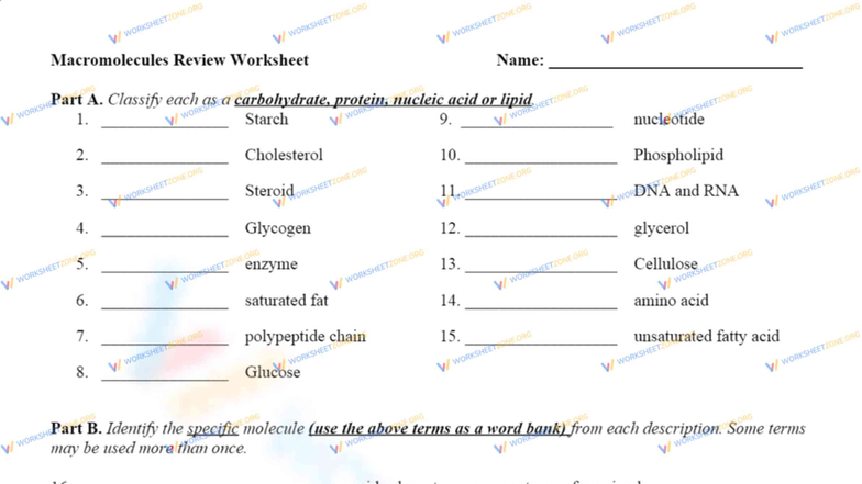 Comprehensive Macromolecule Review Worksheet for Students - Studocu