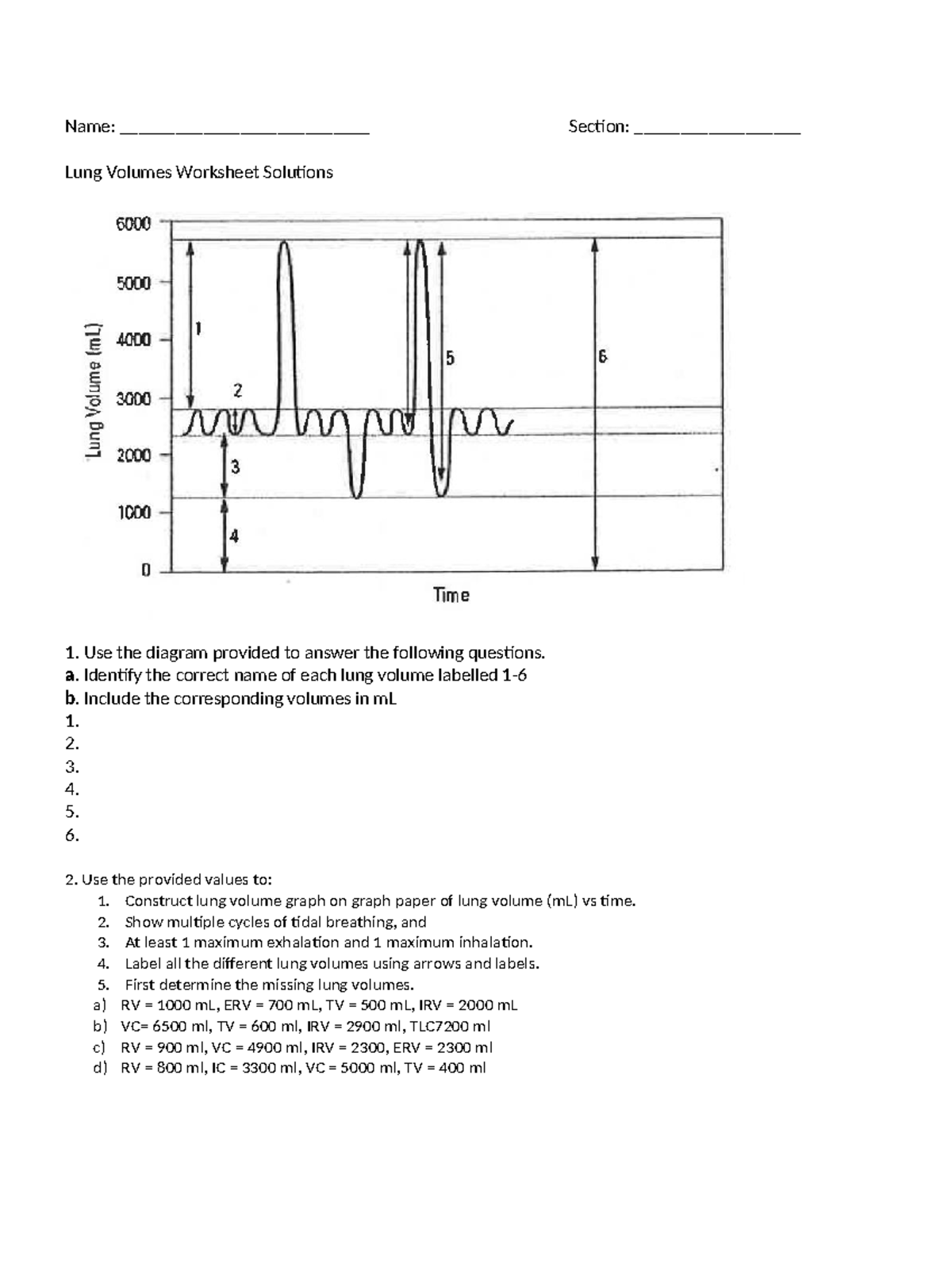 Lung Volumes Worksheet Solutions - Exercise on Respiratory Capacities ...
