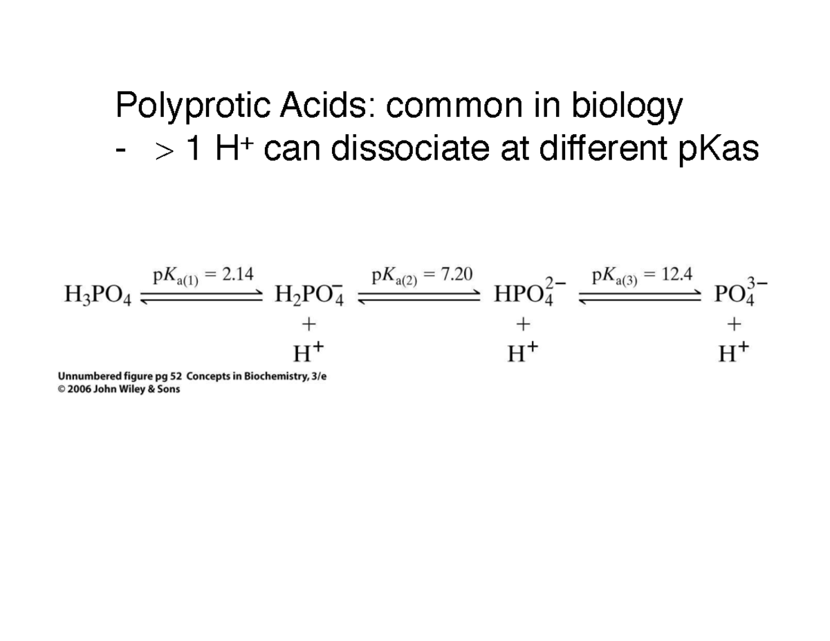 Polyprotic Acids and Buffer Capacity: Biology 1 Exam Notes - Studocu
