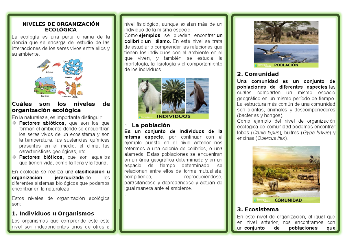 Niveles De Organización De La Ecología Qué Es La Ecología? Album