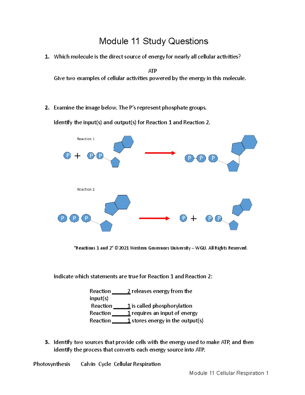 C190.v3 module 11 study questions - Module 11 Study Questions Which ...