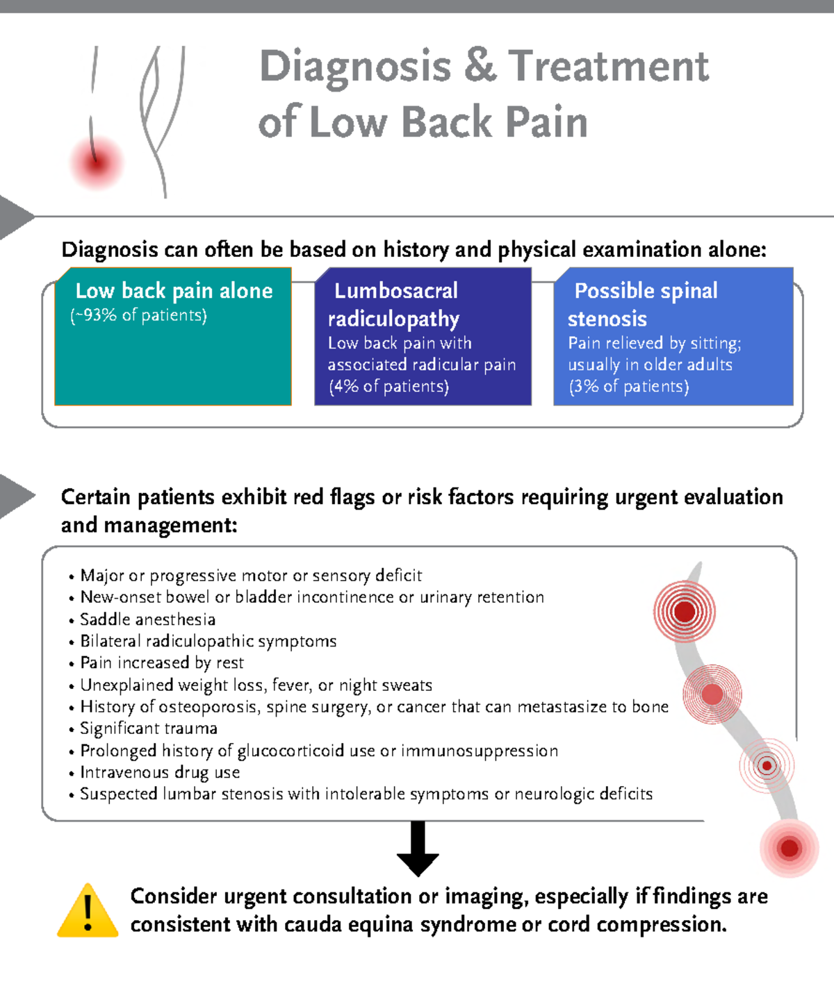 Back Pain Algorithm (LBP 101): Diagnosis & Treatment Guide - Studocu