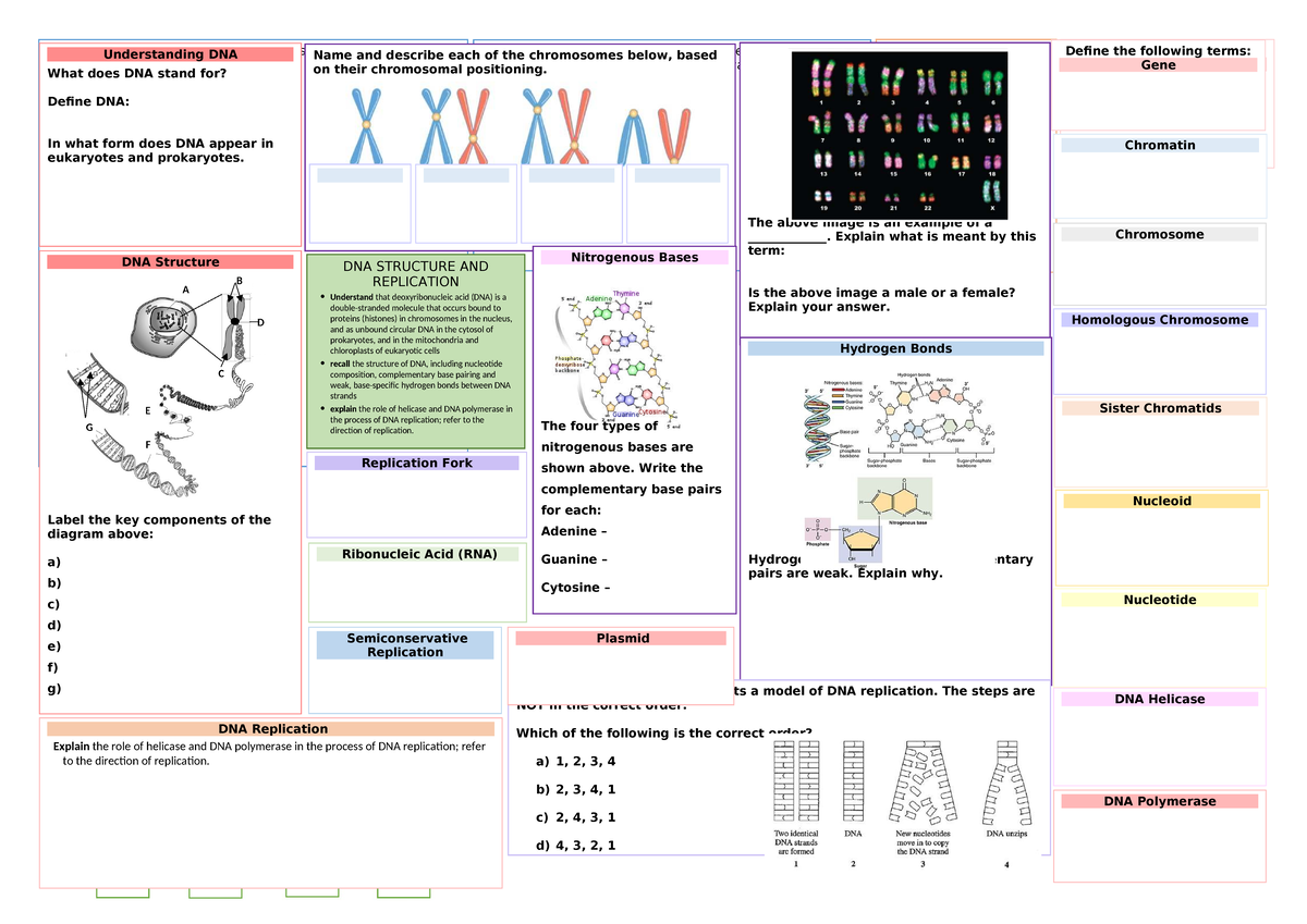 Unit 4 - Topic 1 - Genetics: Meiosis, DNA Structure, and Inheritance ...