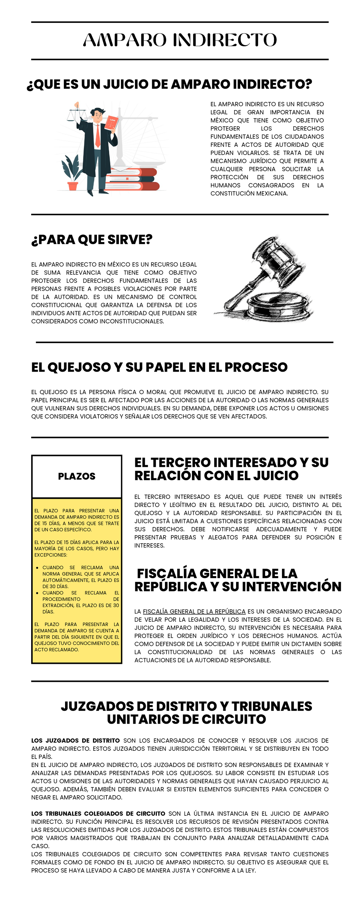 Aspectos Clave del Amparo Indirecto en México: Plazos y Procedimientos ...