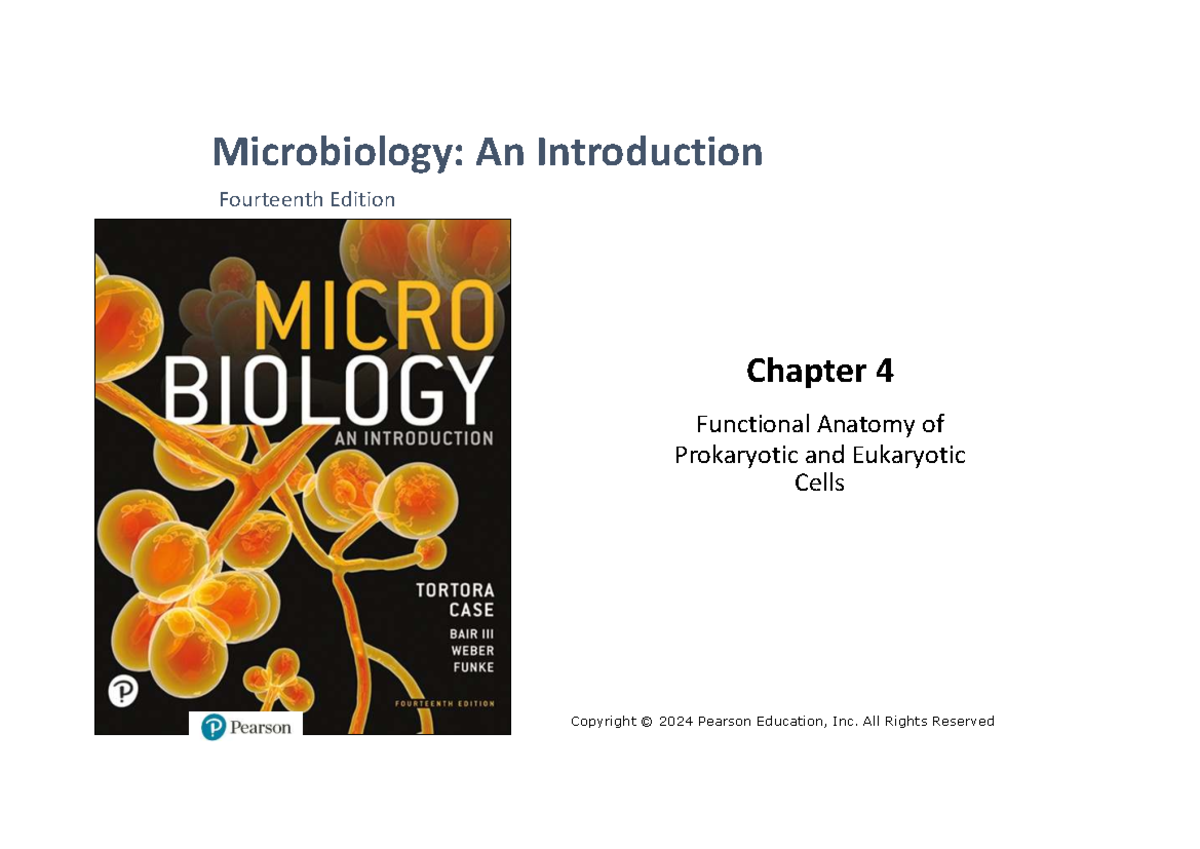 Final Exam Study Guide: Prokaryotic & Eukaryotic Cell Structures - Studocu