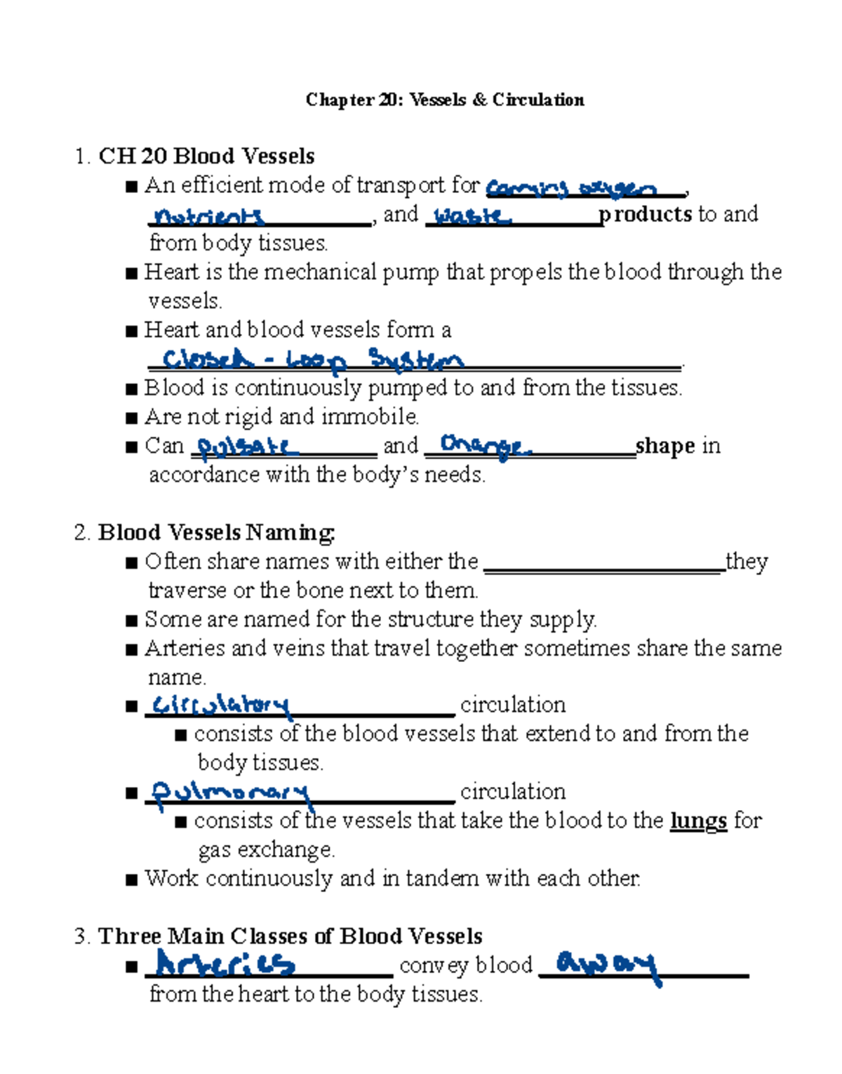 Biol 228 Lecture vessels - Chapter 20: Vessels & Circulation CH 20 ...