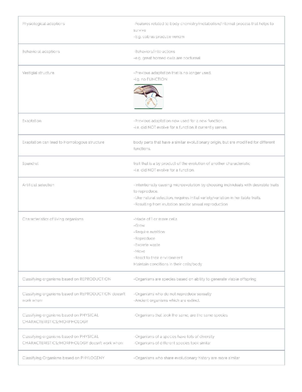 Bio 3 - Adaptations, Classifications, and Evolutionary Processes - Studocu