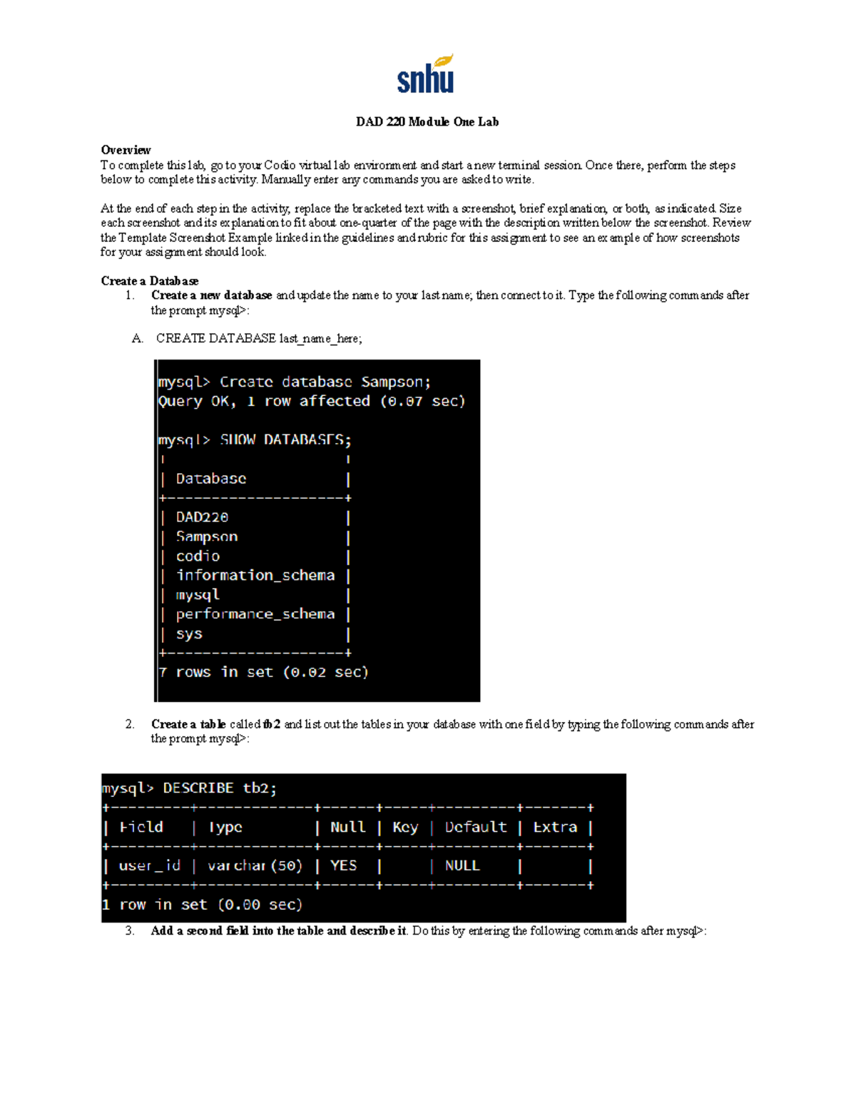 DAD 220 Module One Lab - assignments - DAD 220 Module One Lab Overview ...