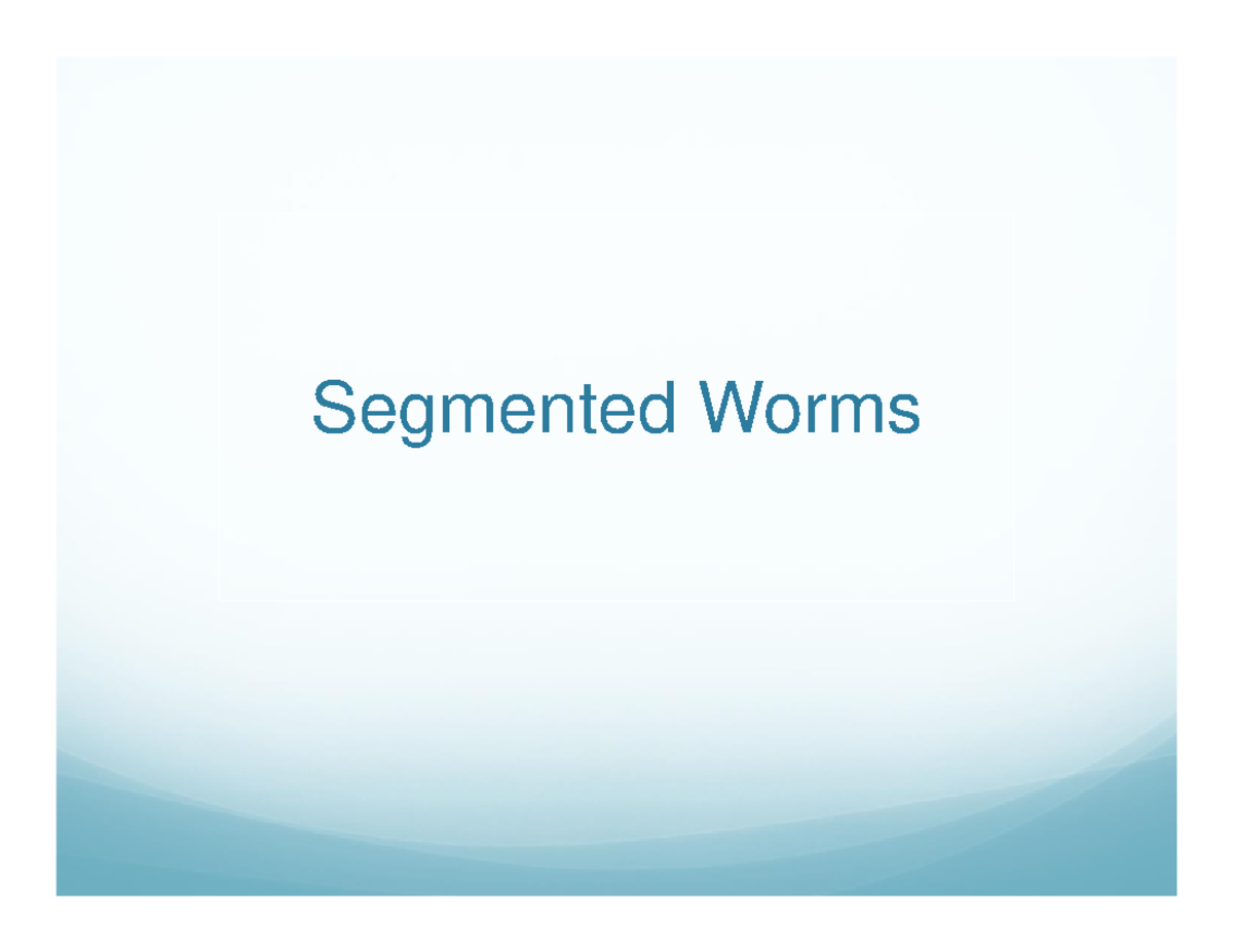 Annelida - Lecture notes 1 - Segmented Worms Phylum Annelida Annelids ...